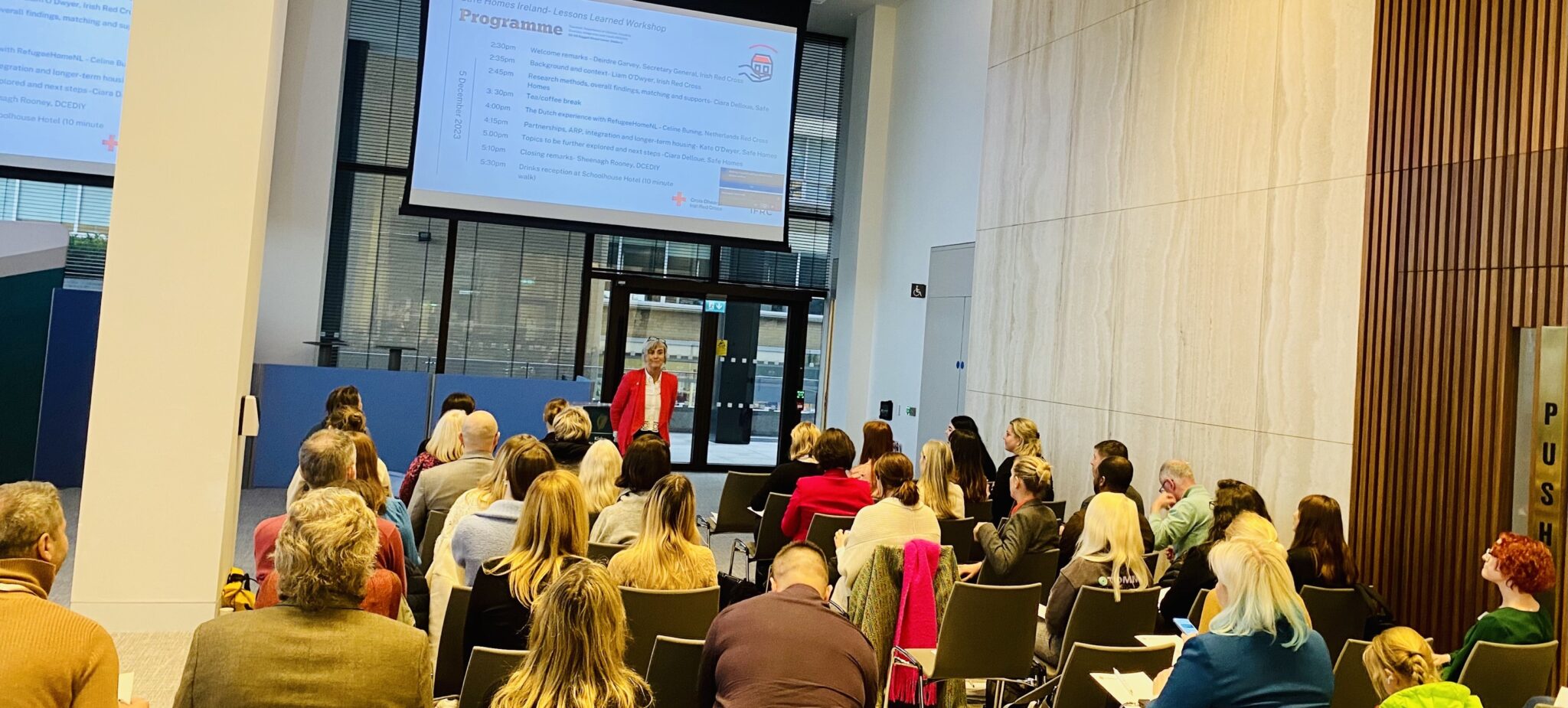 Safe Homes Ireland Final Report - Irish Red Cross