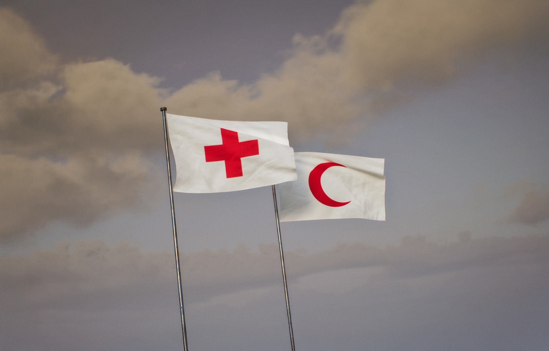 How Adyen and the Red Cross and Red Crescent Movement are making a ...